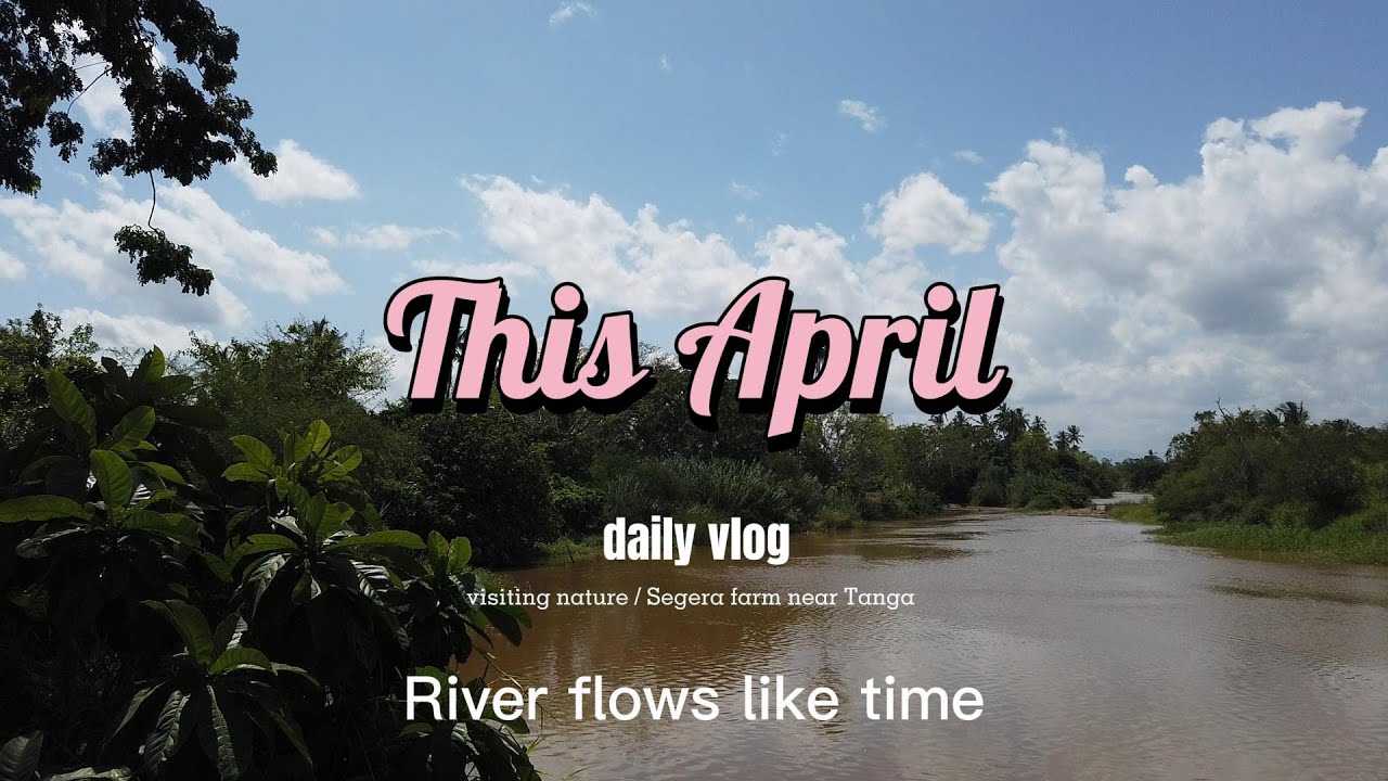 坦噶农场之旅 A visit to Tanga farm - YouTube