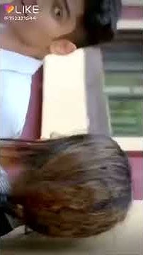 Layla mojnu - YouTube