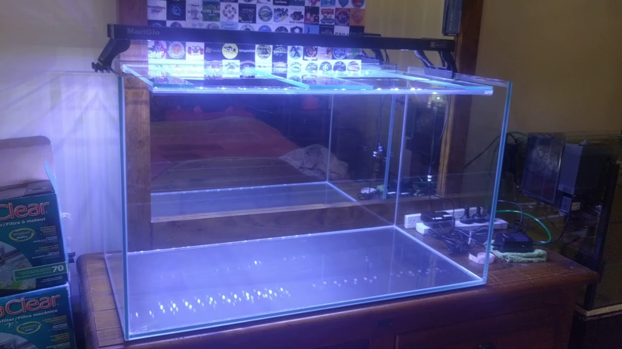 NEW SALTWATER TANK - YouTube