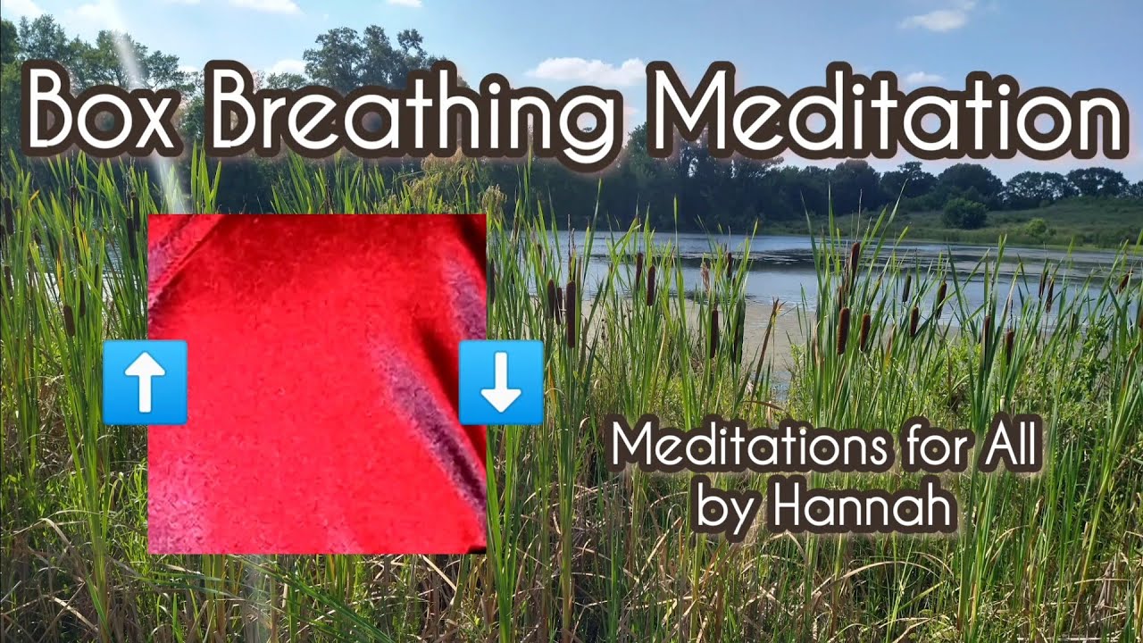 Box Breathing Meditation 💐 Meditations for All - YouTube