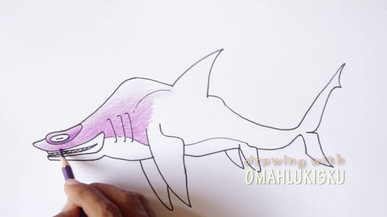 Drawing Hungry Shark - YouTube
