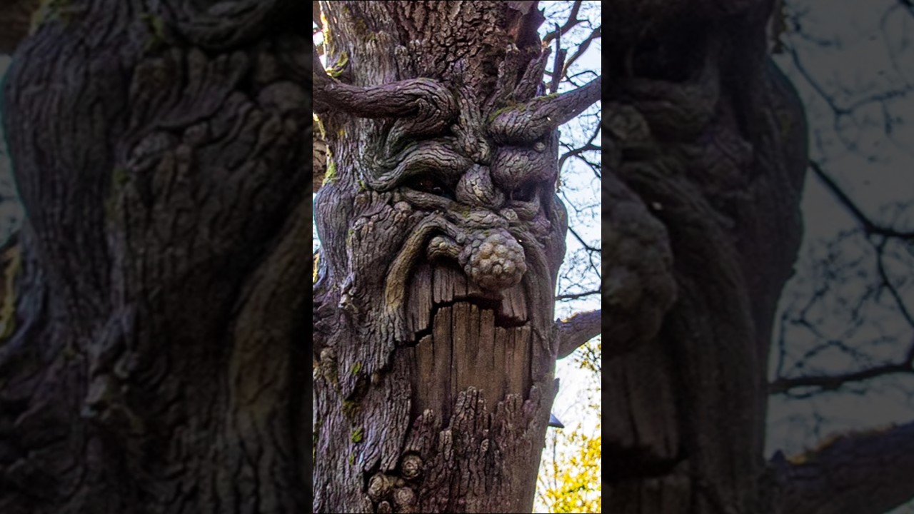 Kniesoor de Magische Boom in het Sprookjesbos | Efteling | #efteling # ...