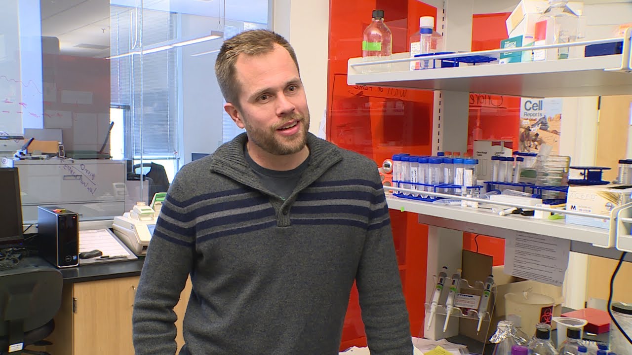 Cells commit suicide to alert your immune system - YouTube