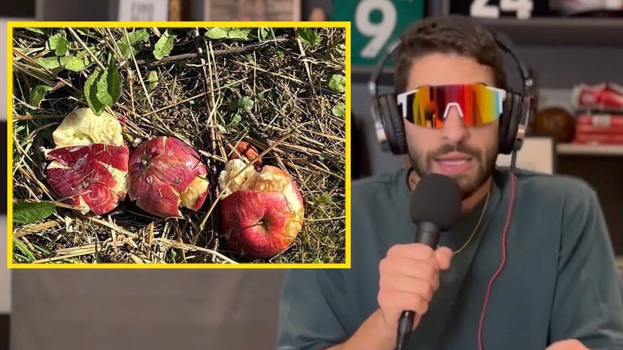 WOPs in the Apple Orchard | THE BORDELLO w/ Sam Adamo #298 - YouTube