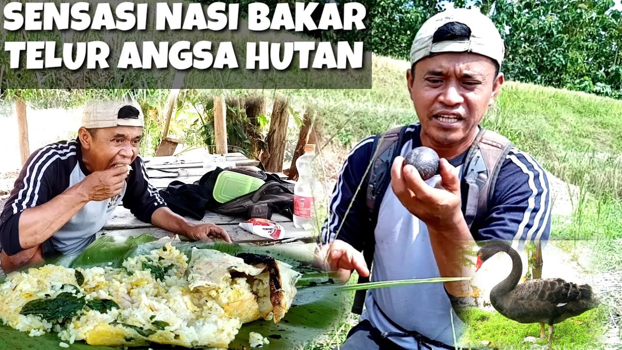 EDOLL PISAN, B3rburu & Memasak telur angsa hutan,kolaborasi nasi bakar ...