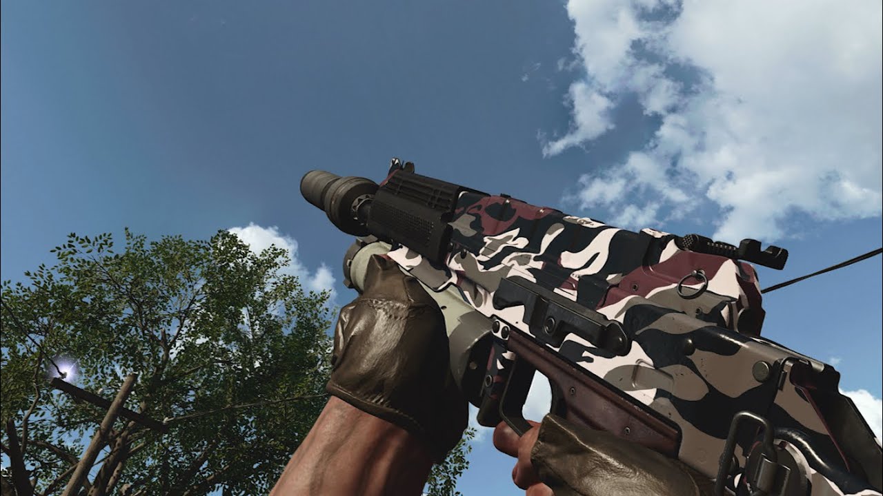 The Bullfrog fries! Love This Gun - Call of Duty: Black ops Cold War ...