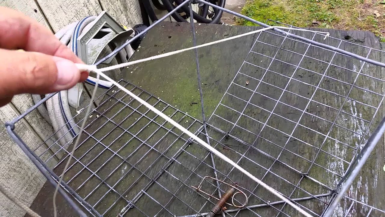 DIY topless crab traps #2 - YouTube