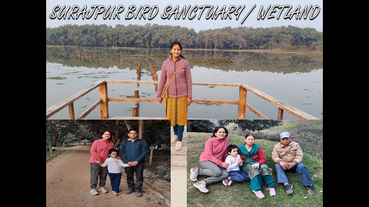 Surajpur Bird Sanctuary Or Surajpur Wetland (Greater Noida), Uttar ...