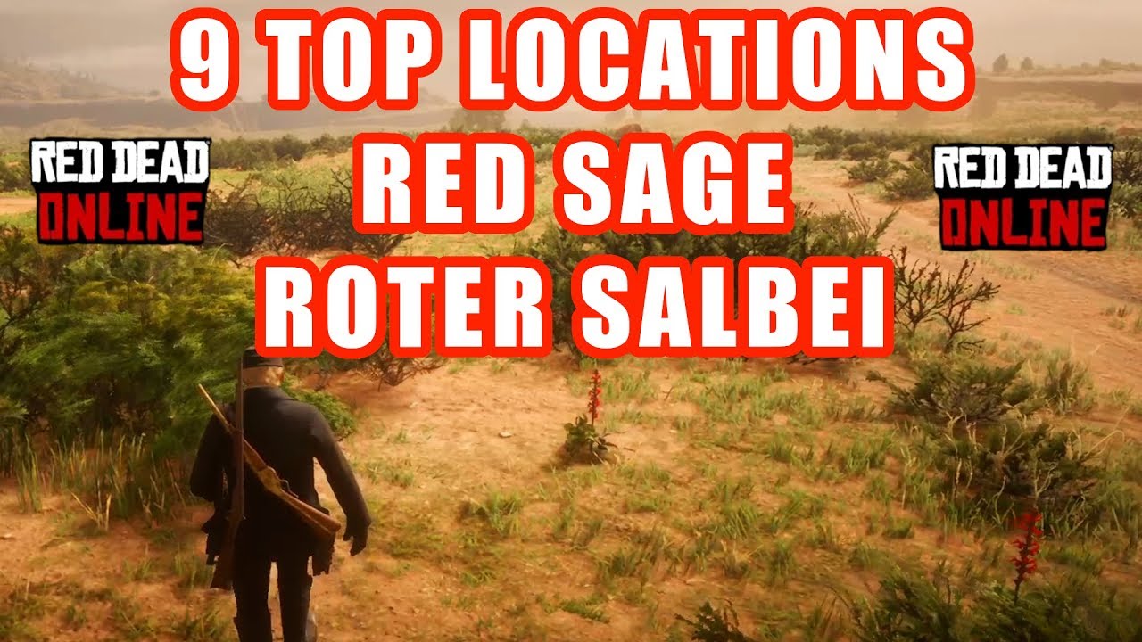 9 Locations Red Sage Roter Salbei Red Dead Redemption 2 Online - YouTube
