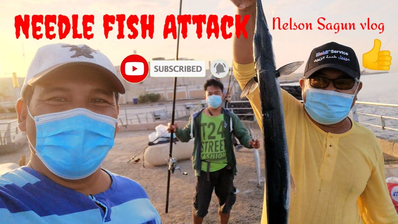 Vlog #028 Needlefish Attack - YouTube