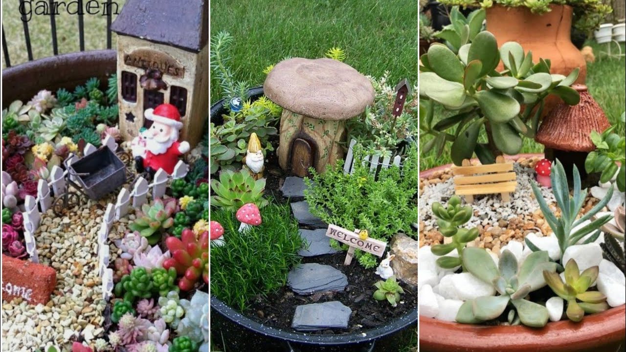 Mini Jardines Con Suculentas En Macetas