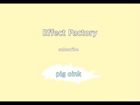 pig oink sound effect - YouTube
