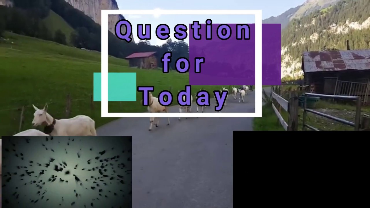 Question 13 Youtube