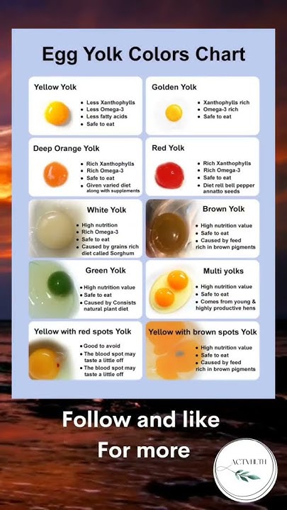 Egg Yolk Color Chart - YouTube