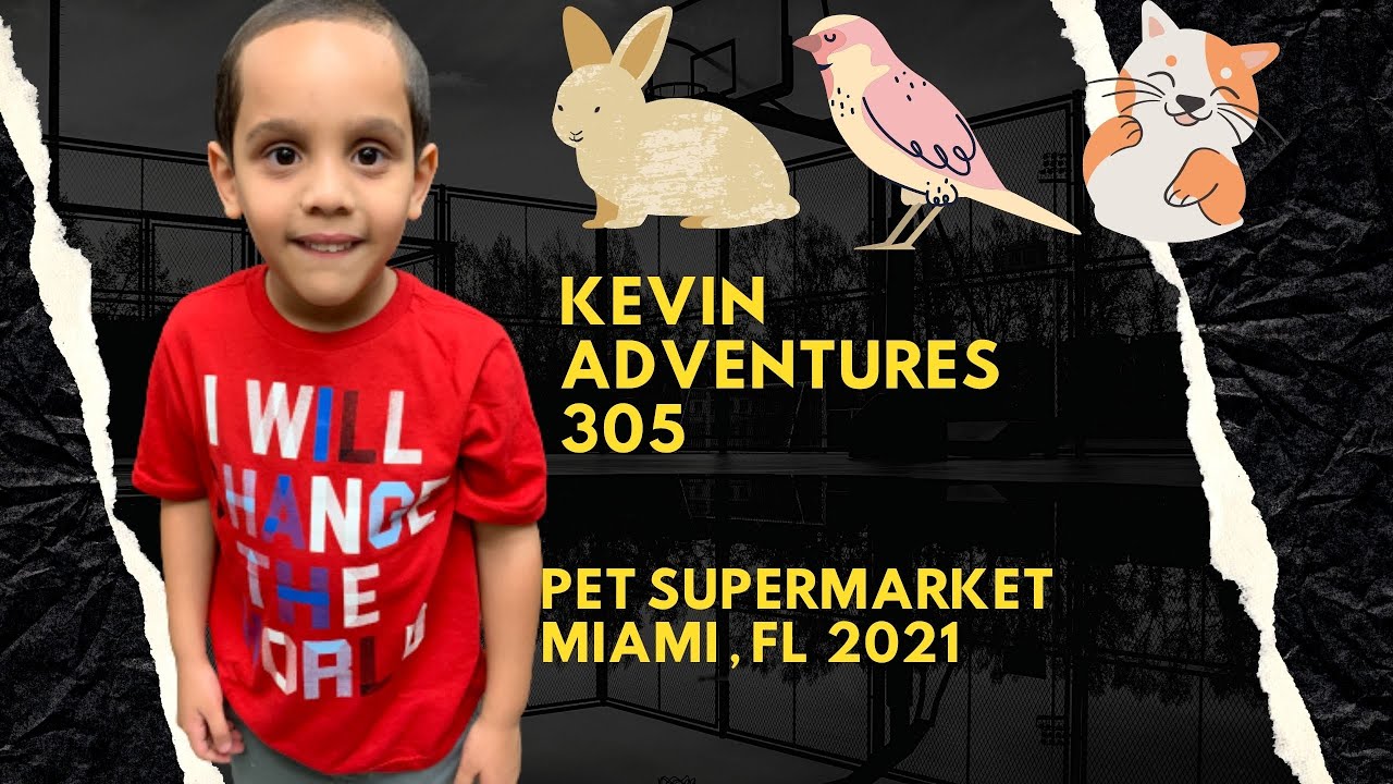 Kevin Adventures 305 - Pet Supermarket - YouTube