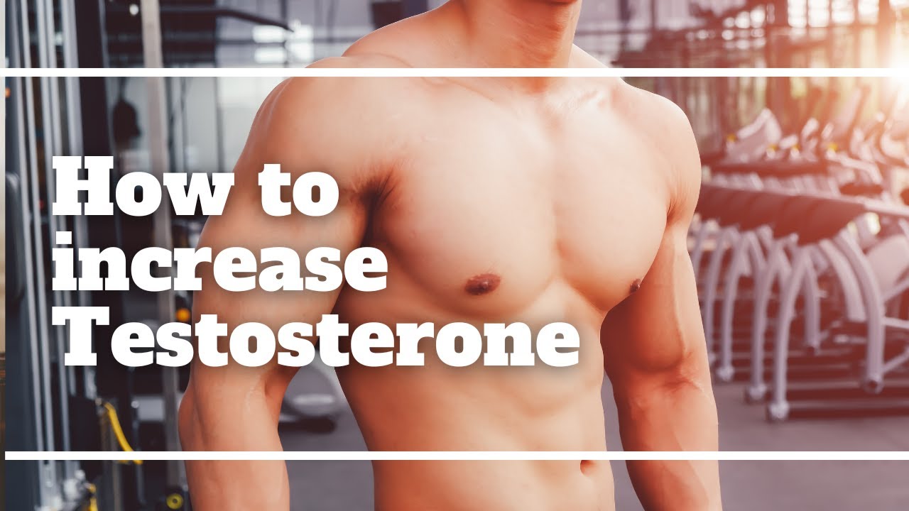 How to Quickly Increase Testosterone Levels in the Body - YouTube