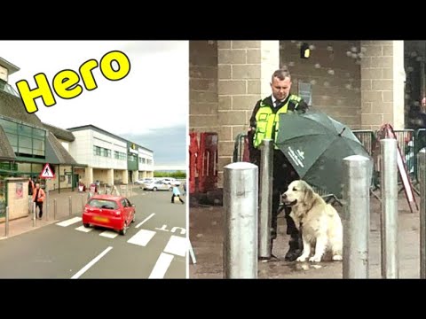Morrisons security guard praised for protecting dog with umbrella ...