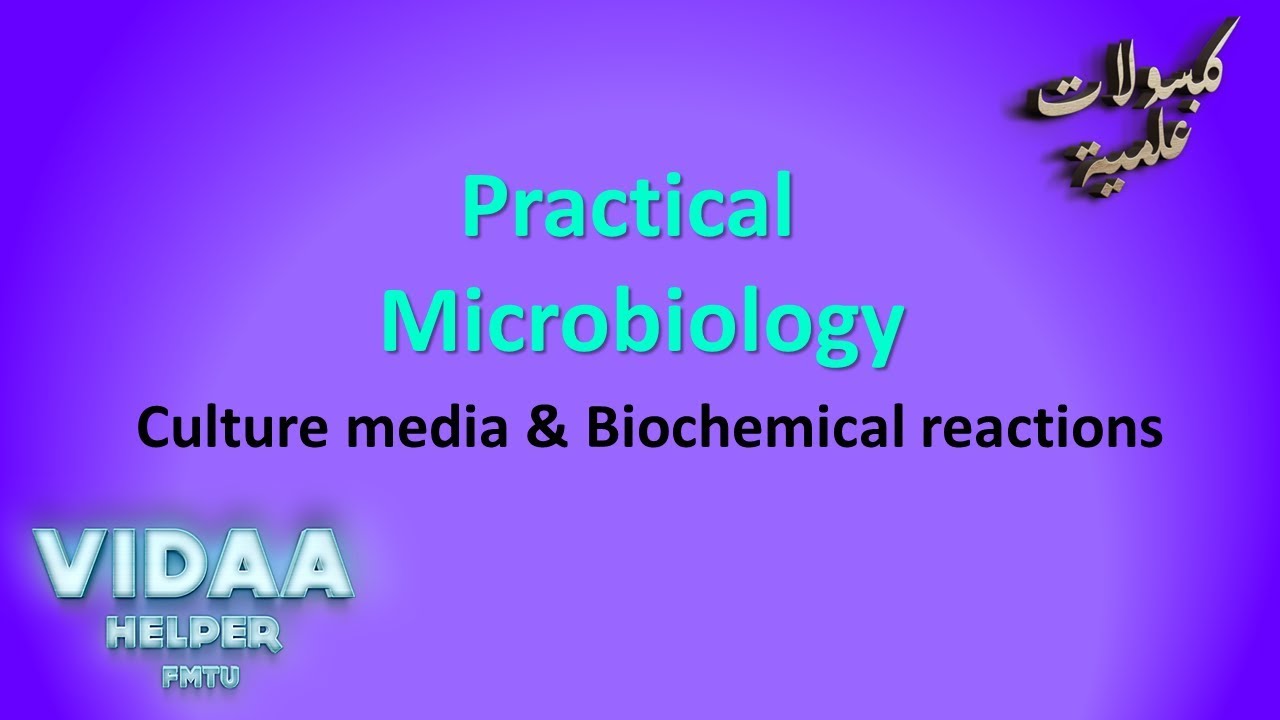 Practical Microbiology: Culture media & Biochemical reactions - YouTube