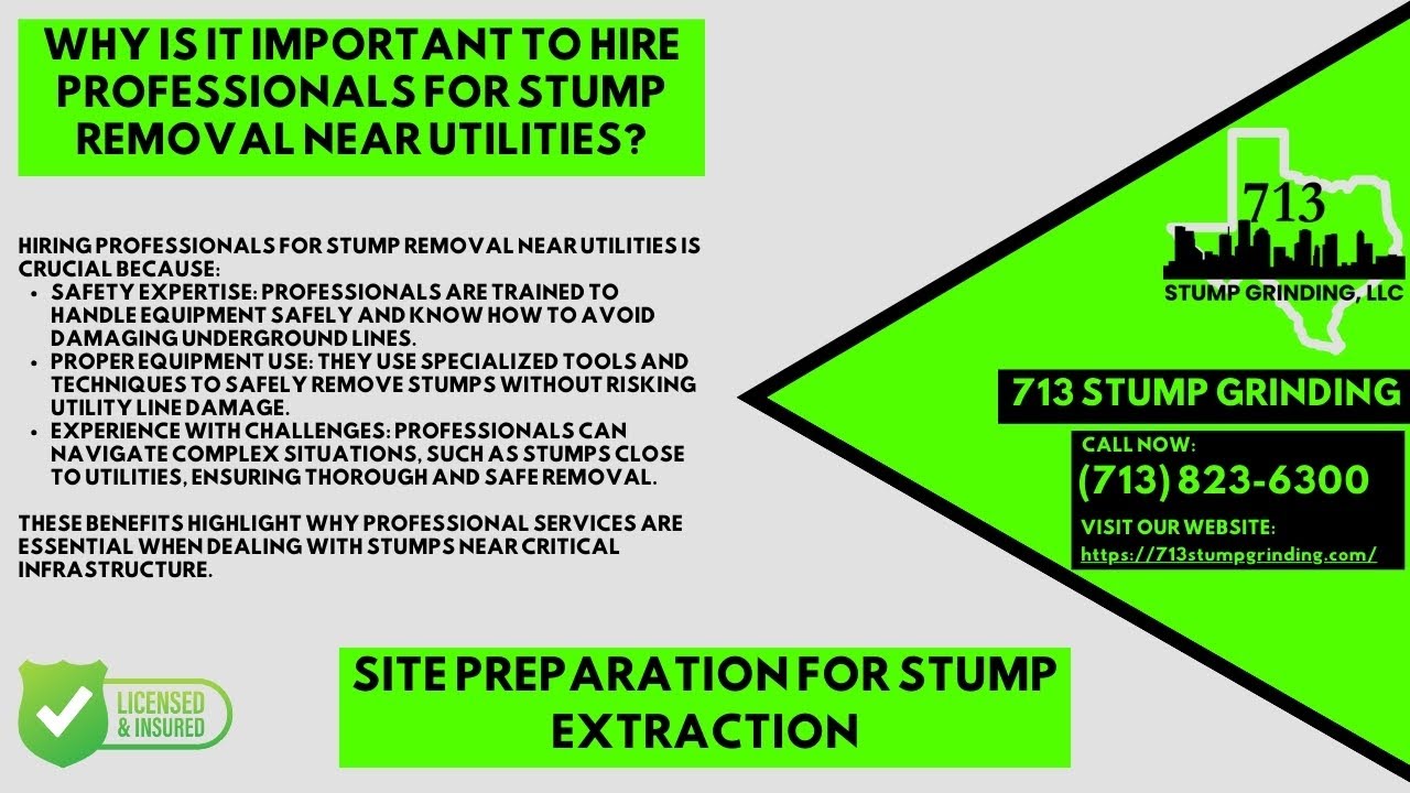 Why is it important to hire professionals for stump removal near ...