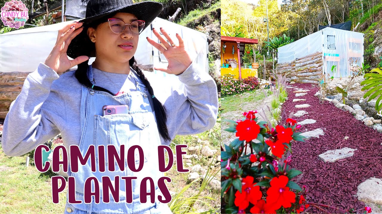 Haciendo un camino de plantas RENOVANDO EL JARDÍN | Candy Bu - YouTube