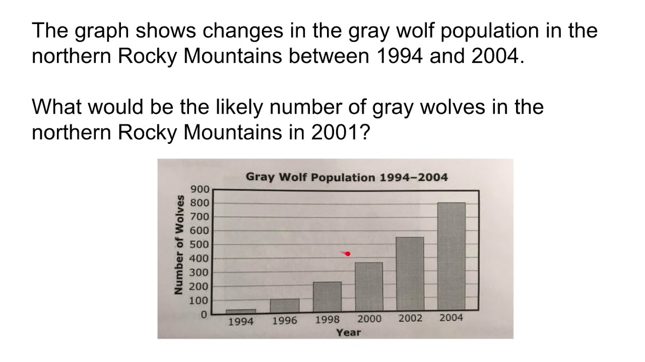 Wolf Graph - YouTube