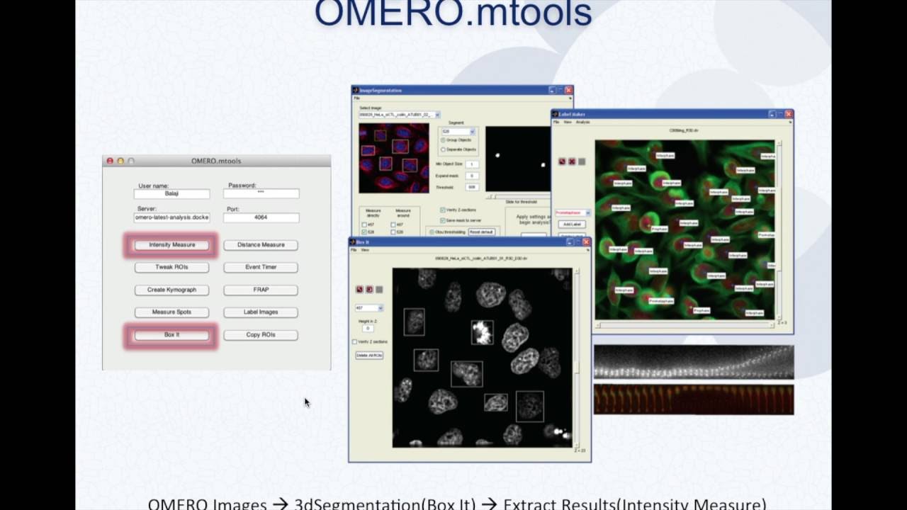 OMERO.mtools - YouTube