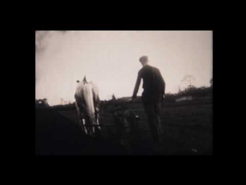 La produzione del grano (1950) Archivio documentari