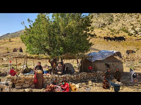 Göçebe Yaşam: Göçebe Kızlar Yeni Bir Ev İnşa Ediyor 🪨 | Zagros Springs'ten Göçebe Günlük Yaşam 💧