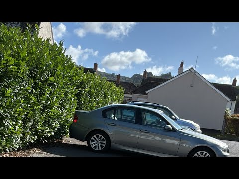 Cutting back large hedge - YouTube