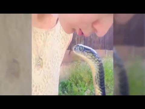 Kobra ile Öpüşen Kız