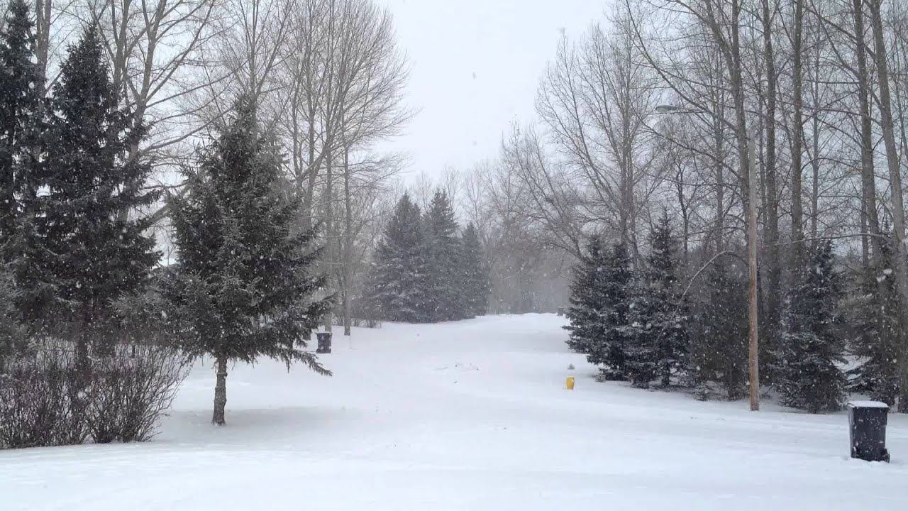 Peaceful Canadian snowfall out the front window in Saskatchewan during ...