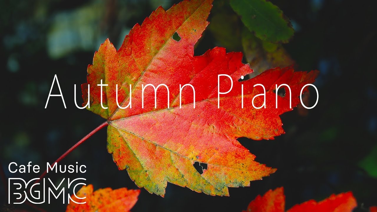 🍁Autumn Piano Jazz - Chill Out Jazz Music - Slow Cafe Jazz Lounge for ...
