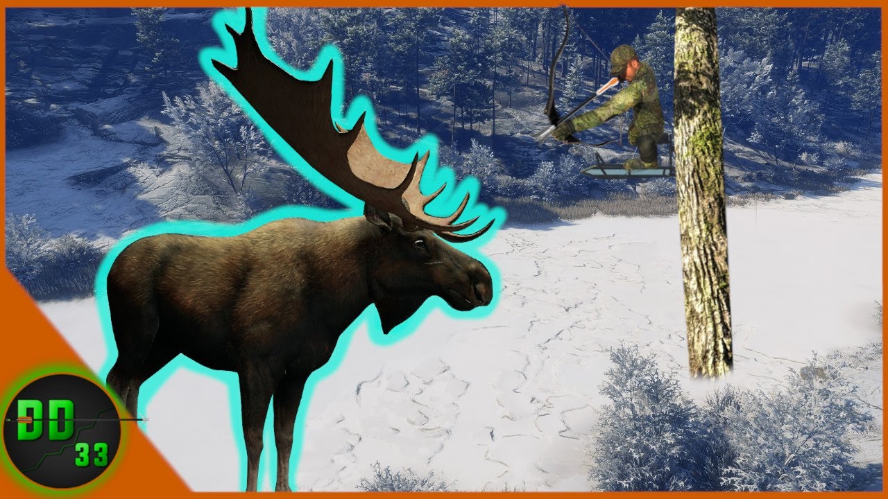 Tree Stand Hunting For Moose! Call Of The Wild - YouTube
