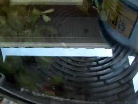 Trimpro Gasoline en funcionamiento - YouTube