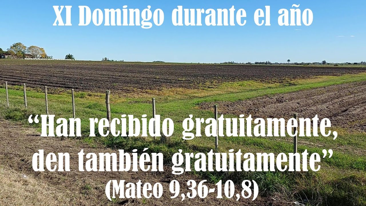 Han Recibido Gratuitamente Den Tambi n Gratuitamente Mateo 9 36 10 han-recibido-gratuitamente-den-tambi-n-gratuitamente-mateo-9-36-10