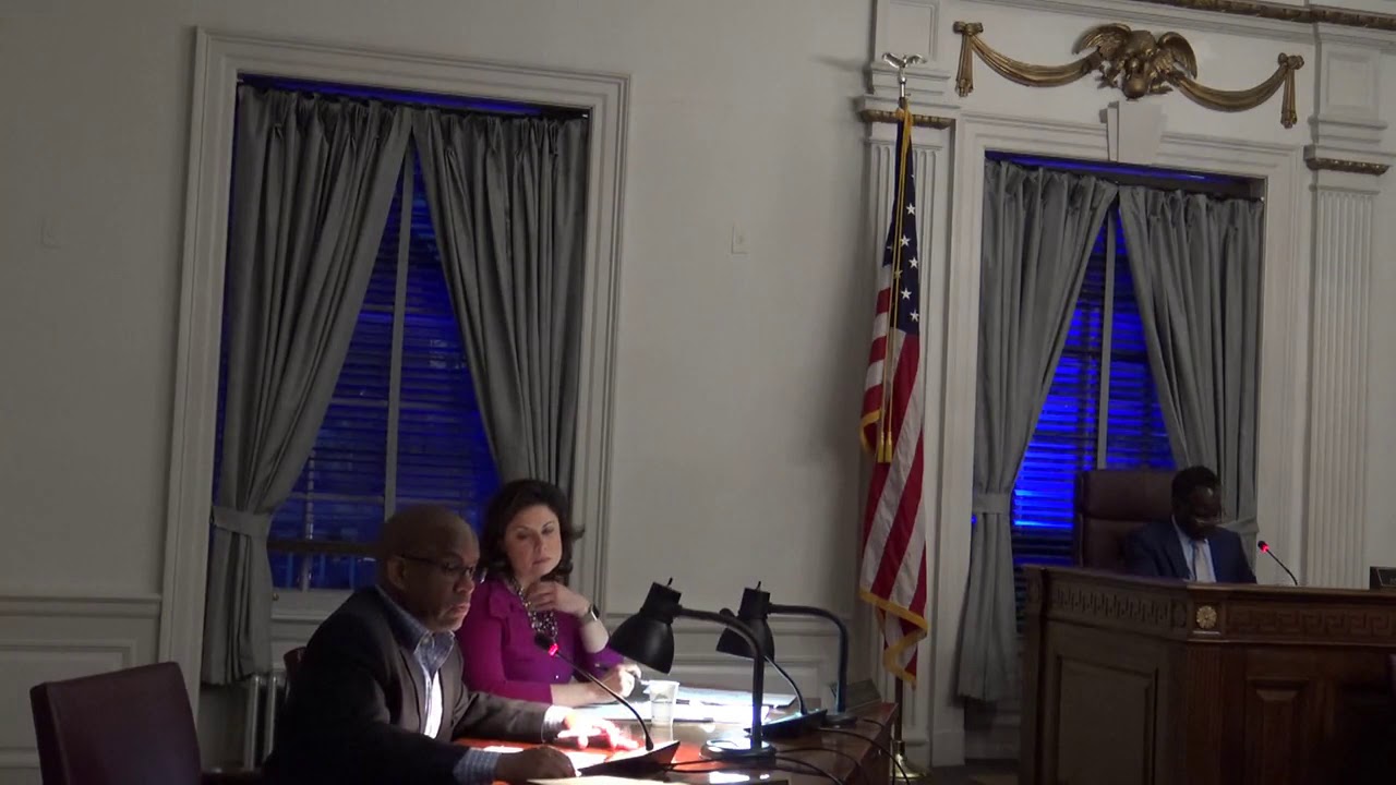 Mount Vernon City Council 5-8-2019 Jamie R Pessin Speaks on Animal ...