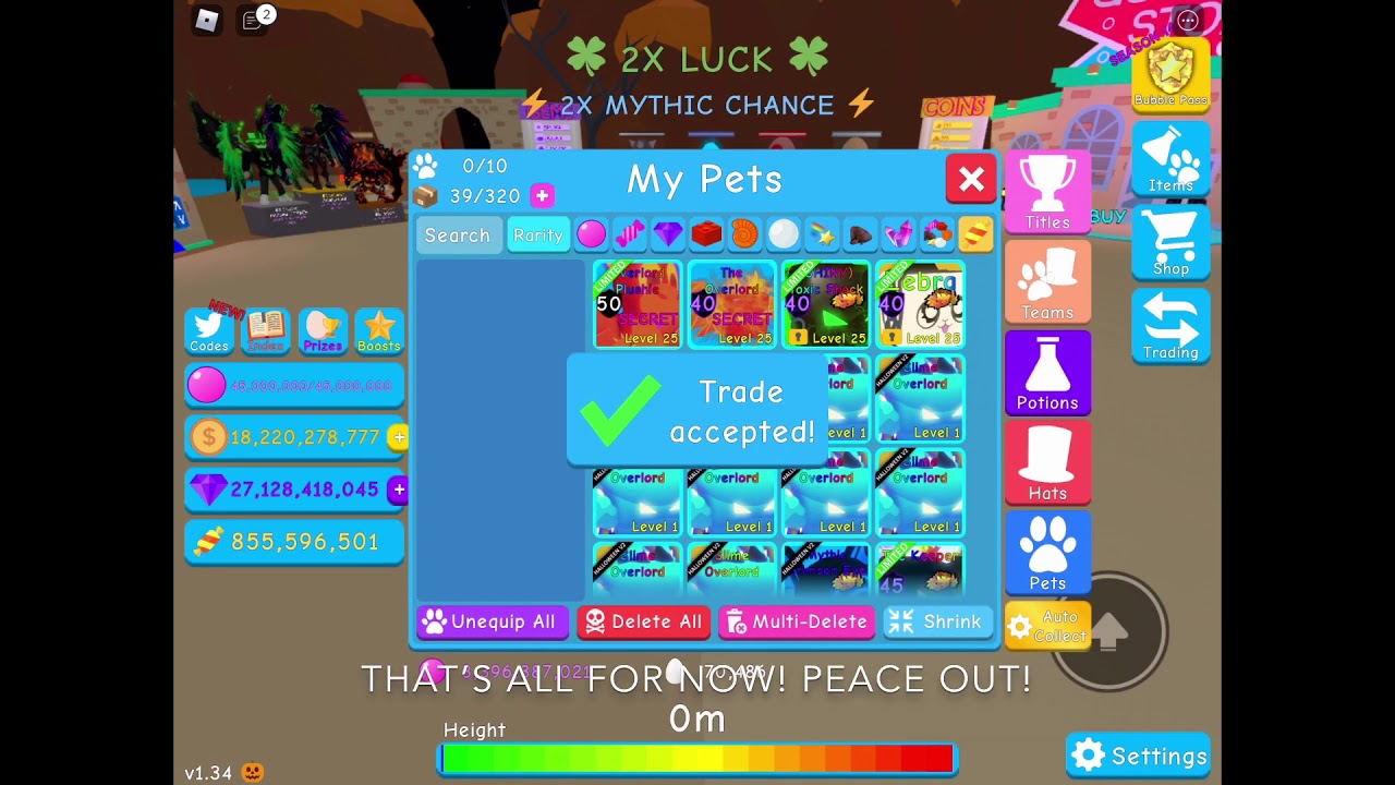 Roblox BGS || I GOT DONATED A SECRET PET!!! - YouTube