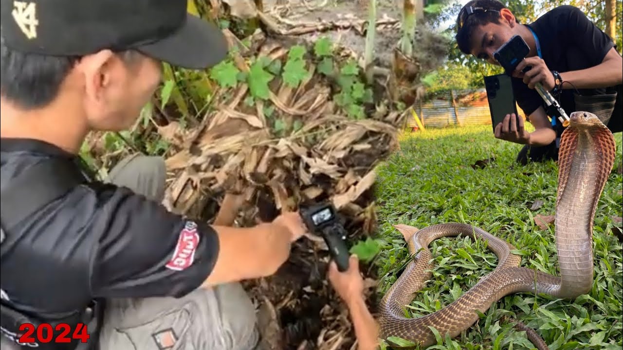 CRISTURKZ AT COBRA PRINCE TEAM SANIB PWERSA SA PAG HULI NG MGA COBRA ...