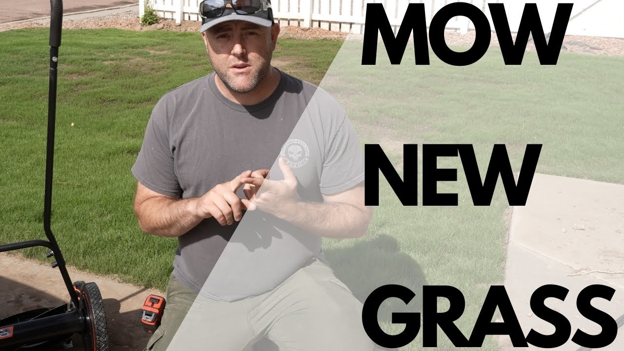 When to Mow NEW grass for the First Time | MY FIRST MOW! - YouTube