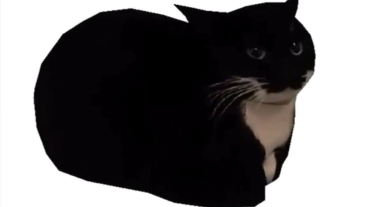 Spinning Maxwell - YouTube