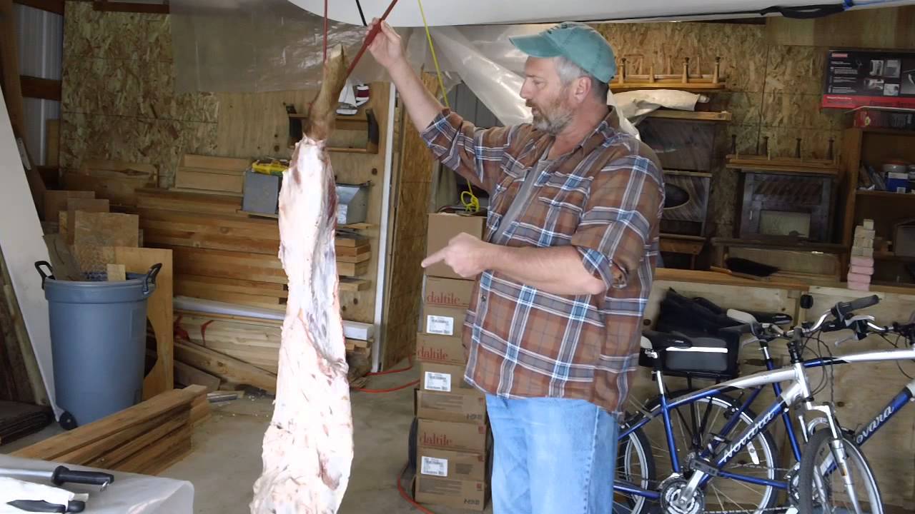 hog processing dvd - YouTube