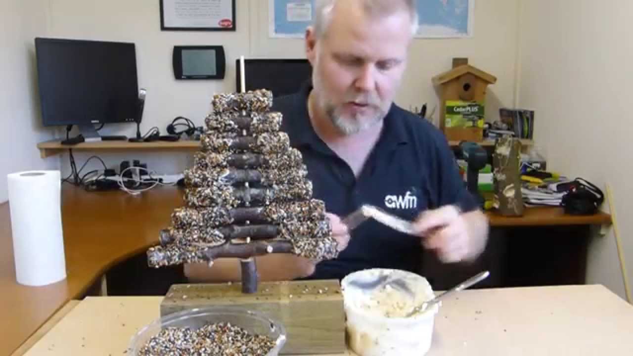 Make a Festive Fat Stick Tree For Your Garden Birds! - YouTube