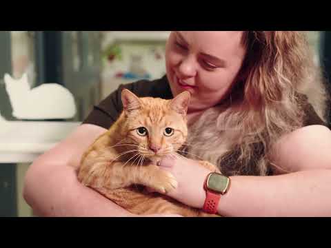 Animal Management Centre