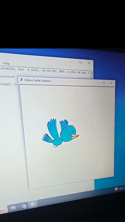Python Turtle Graphicsdo Animation Using Python Turtleshorts Programming Learnpython