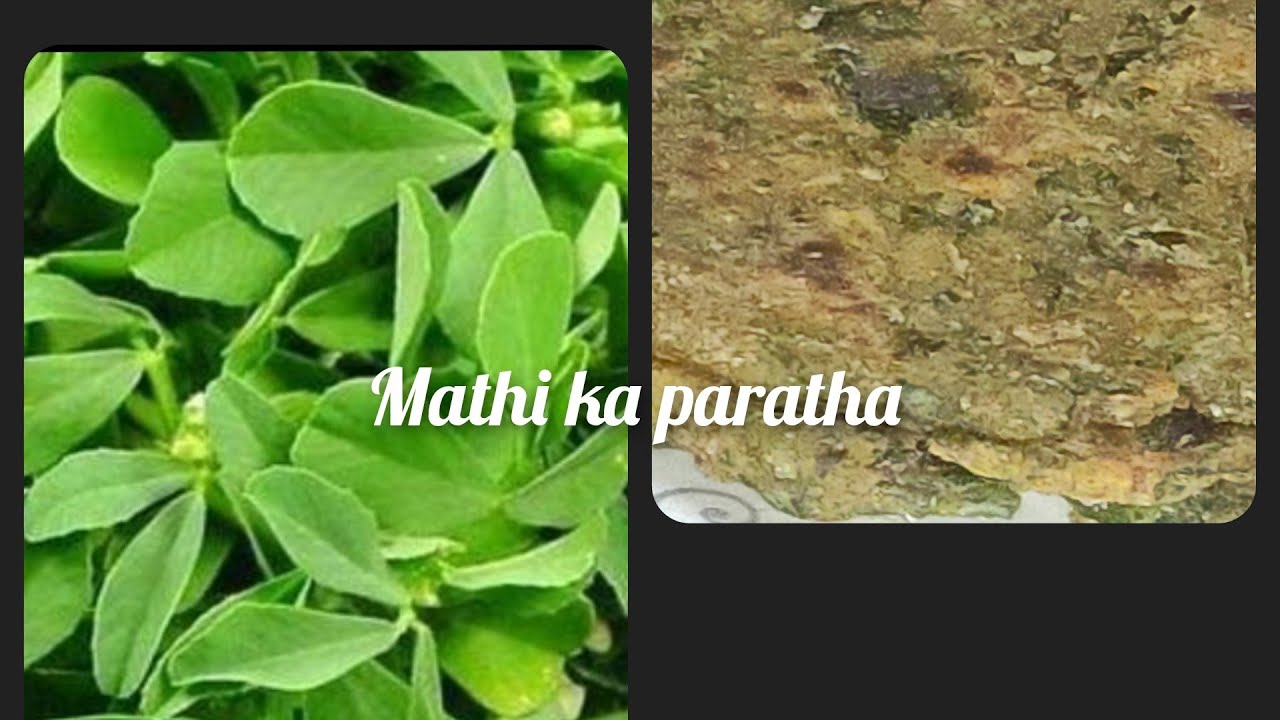 methi ka paratha - YouTube