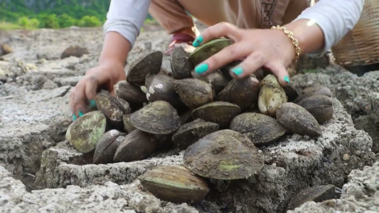 I Have Never Seen Perfect Pearls Inside Shells - Beautiful Pearls - YouTube