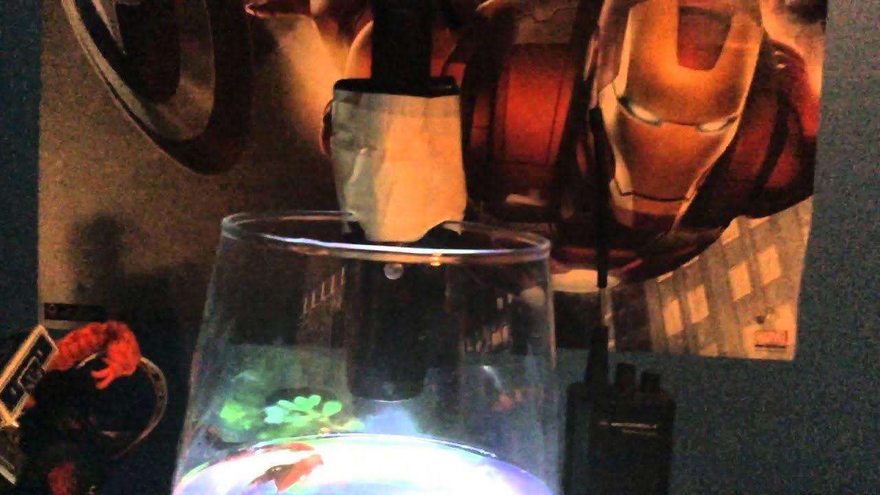 how to make a homemade fish light - YouTube