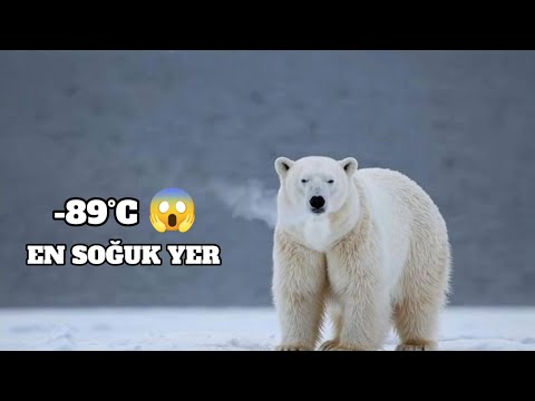 “Dünyanın En Soğuk Yeri (-89°C 😱)”