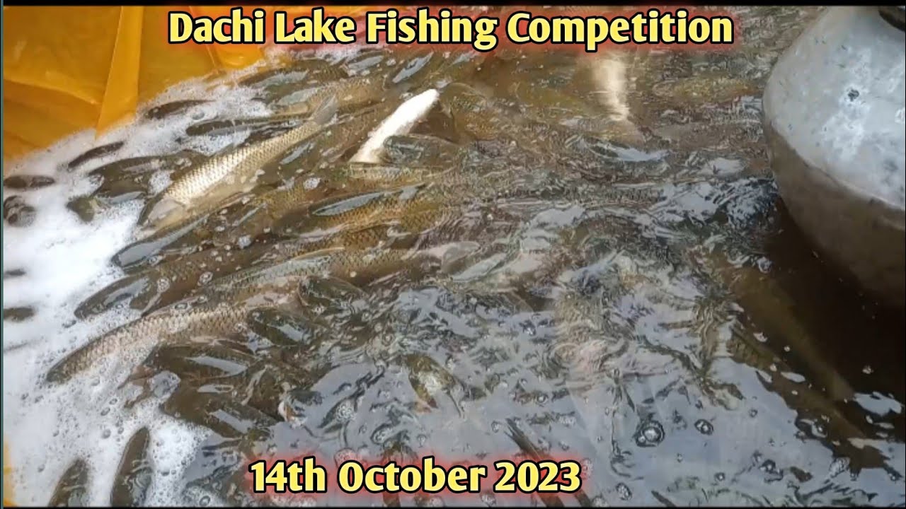 Dachi Lake Fishing Competition na natok watdapani video//14-10-2023 ...