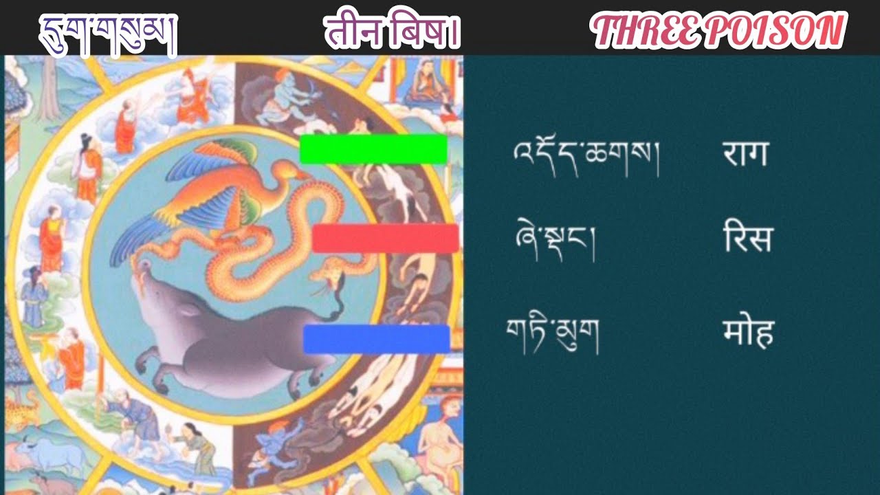 དུག་གསུམ།། तिन बिष ।। THREE POISON ।। - YouTube